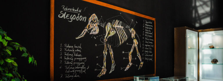 Manusia Purba dan Nenek Moyang Bangsa Indonesia – KeMuseum